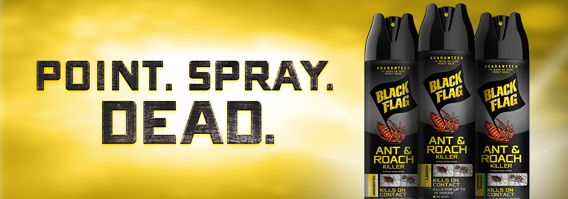 Black Flag Insect and Pest Control | Black Flag