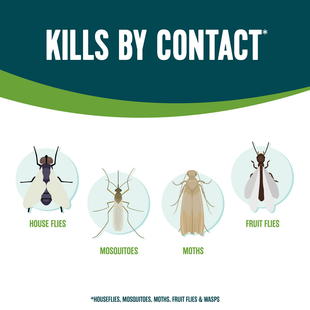 Ecologic Flying Insect Killer2, 14 Ounces, Aerosol Formula Made With ...