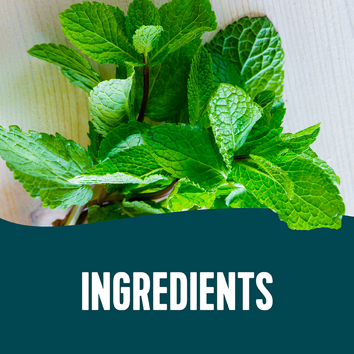 EcoLogic Home Insect Control | EcoLogic