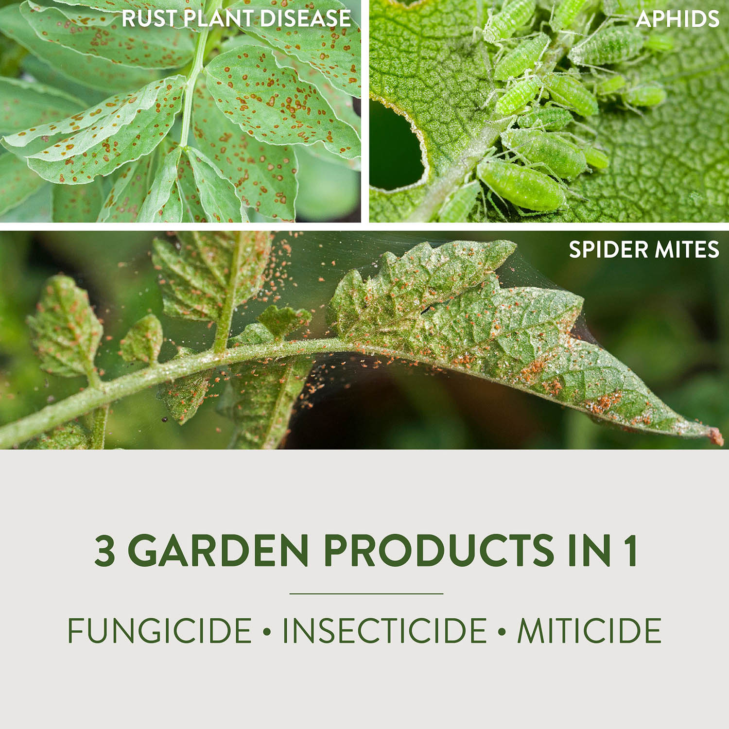 Garden Safe Brand Fungicide3, 32 Fluid Ounces, Insecticide and Miticide ...