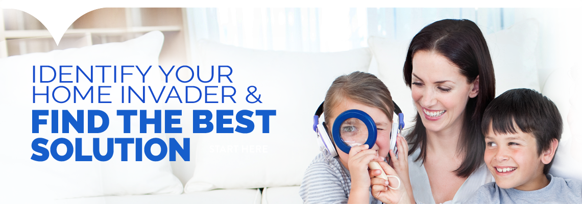 Hot Shot Insecticide and Bug Killers | Hot Shot