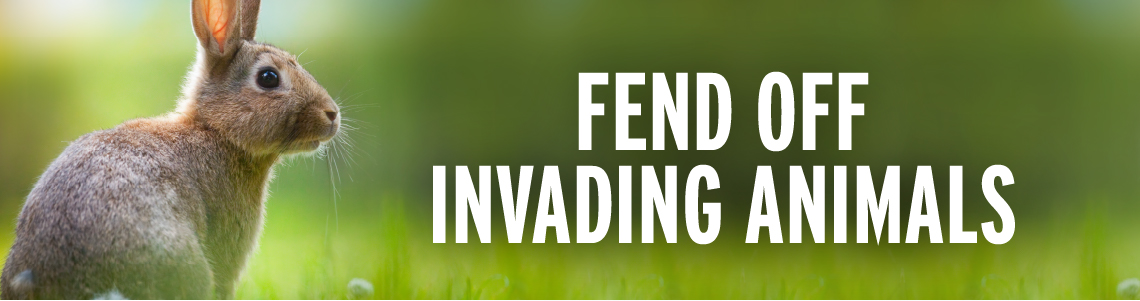 How to Protect Your Garden from Animals | Liquid Fence