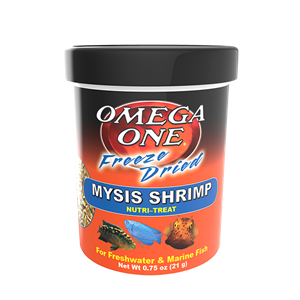 how to prepare frozen mysis shrimp